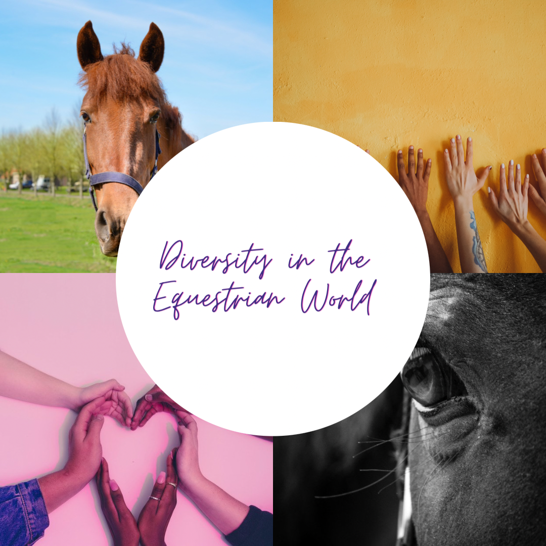 Diversity in the Equestrian World